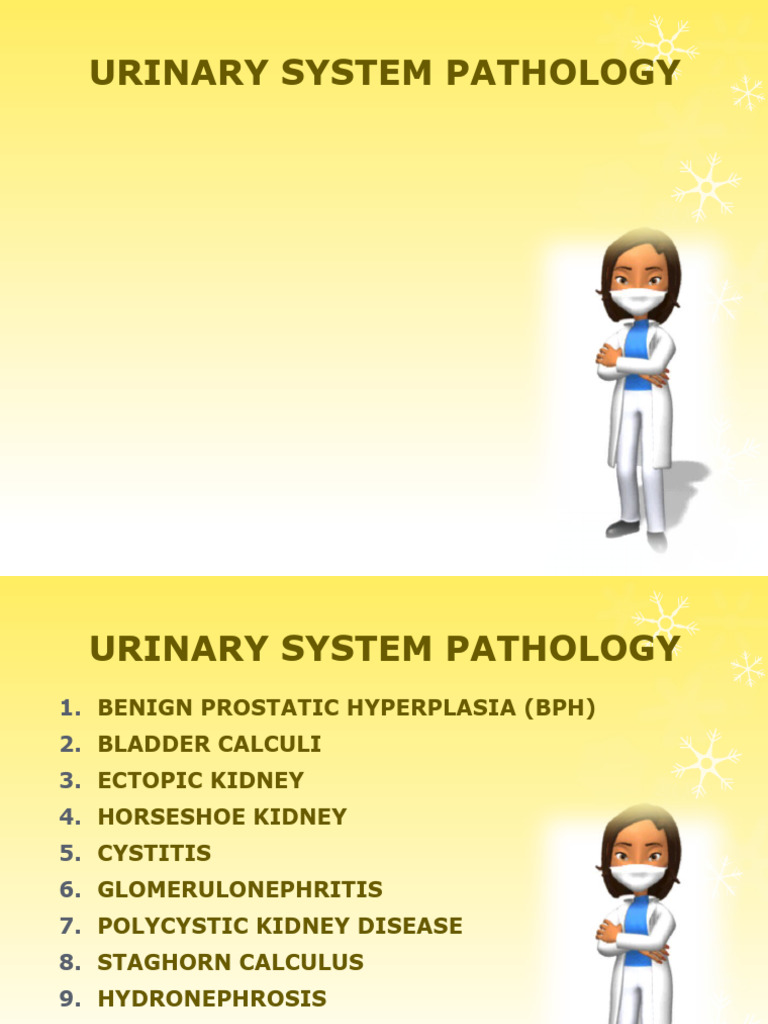 Urinary System Radpathology | PDF | Kidney | Urinary System