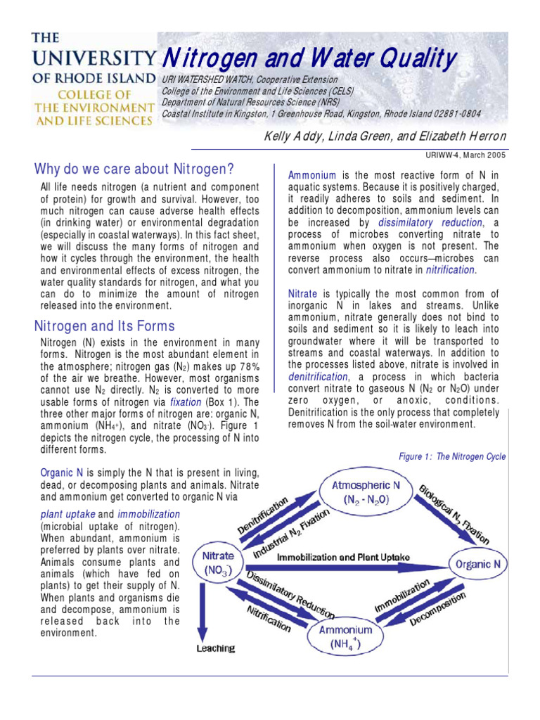 Nitrogen | PDF | Eutrophication | Water Quality