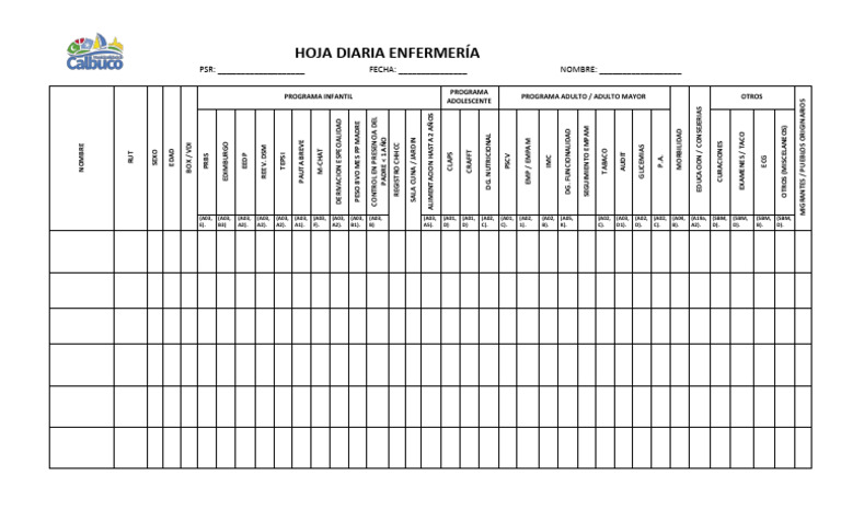 Hoja Diaria Enfermería Pdf