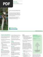 NJUG Tree Protection Guidelines 2025 | PDF | Trees | Root