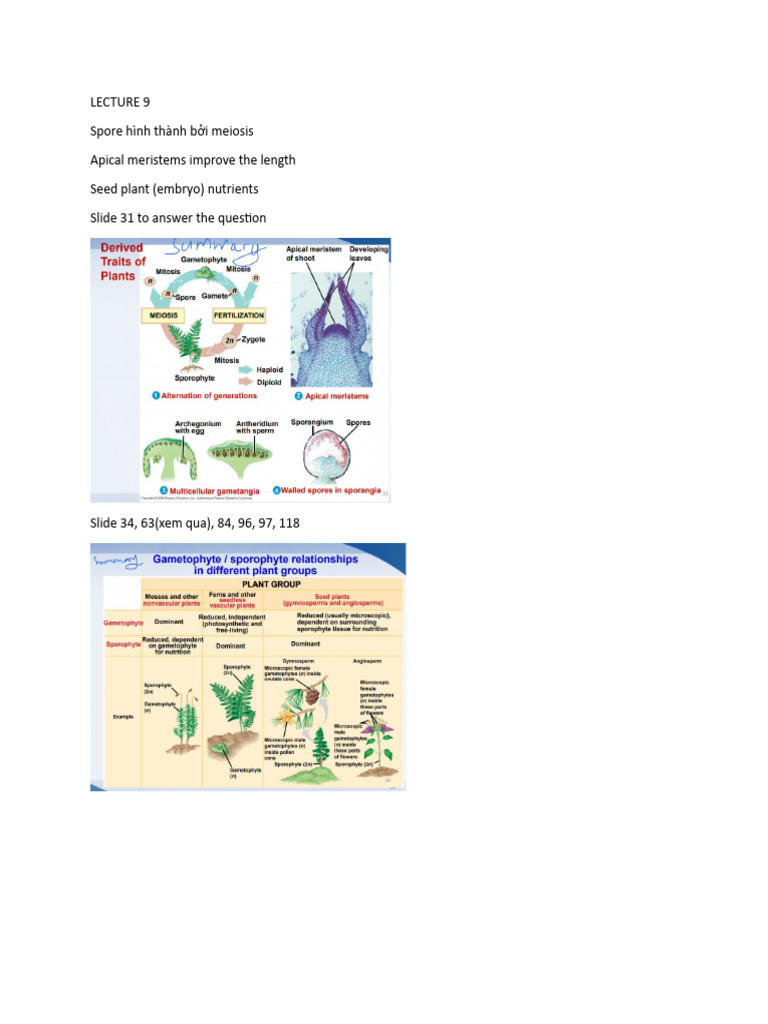 Bài Ôn BIO Final | PDF