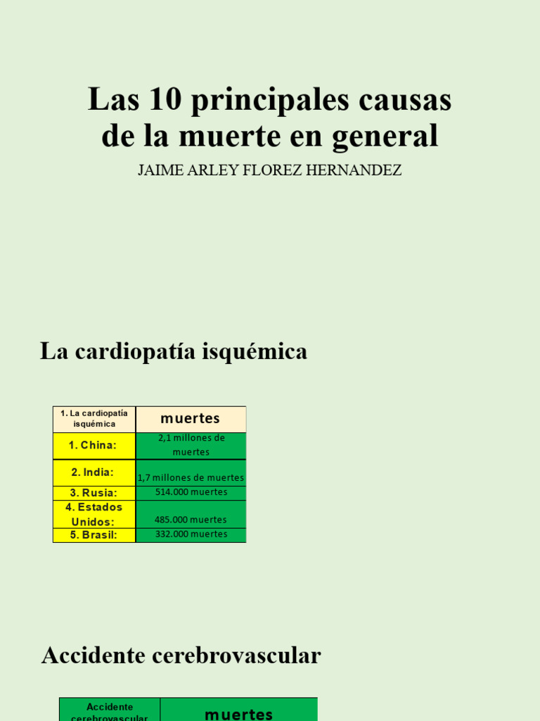 Las 10 Principales Causas de La Muerte en | PDF | Epidemiología ...