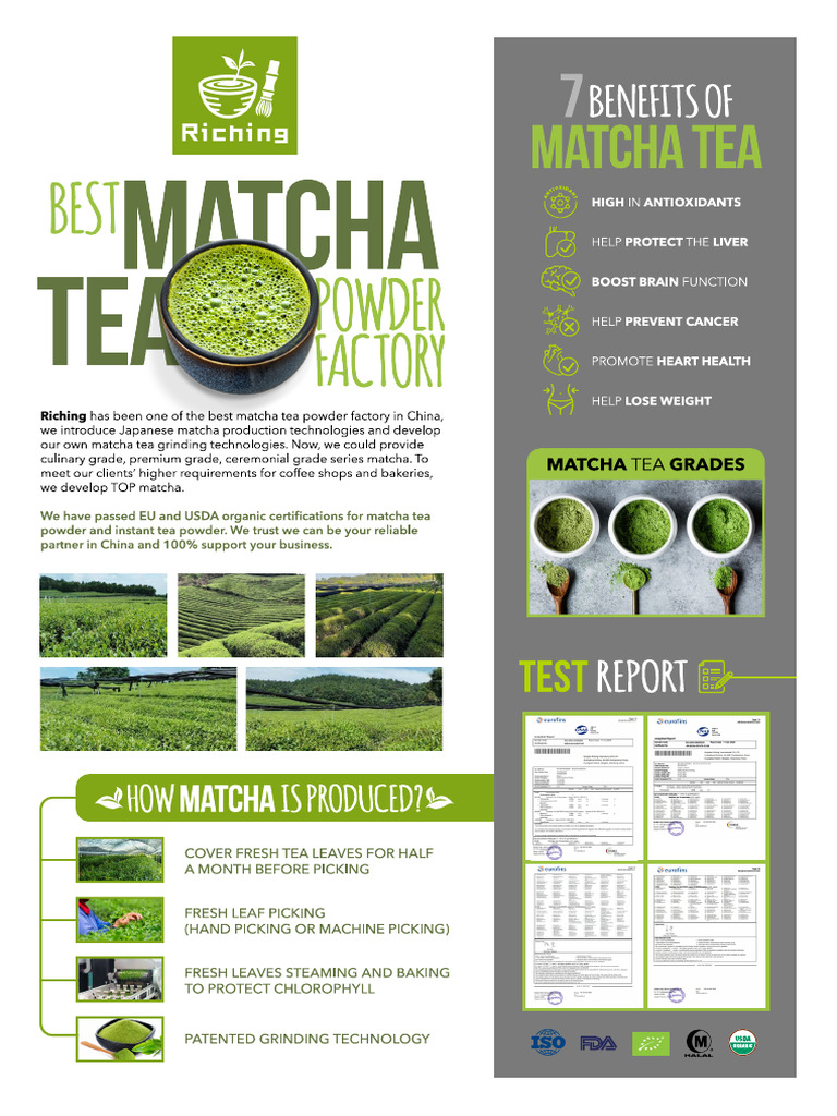 Riching Matcha Brochure | PDF