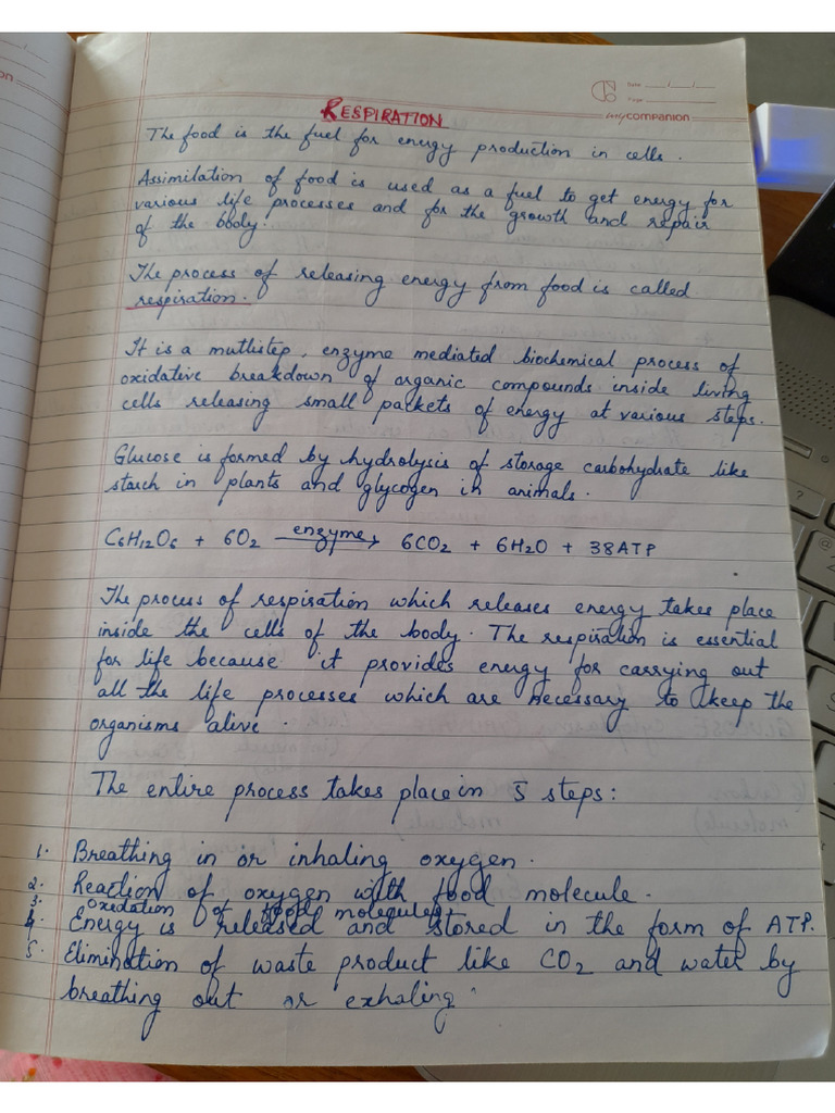 respiration hand written notes | PDF