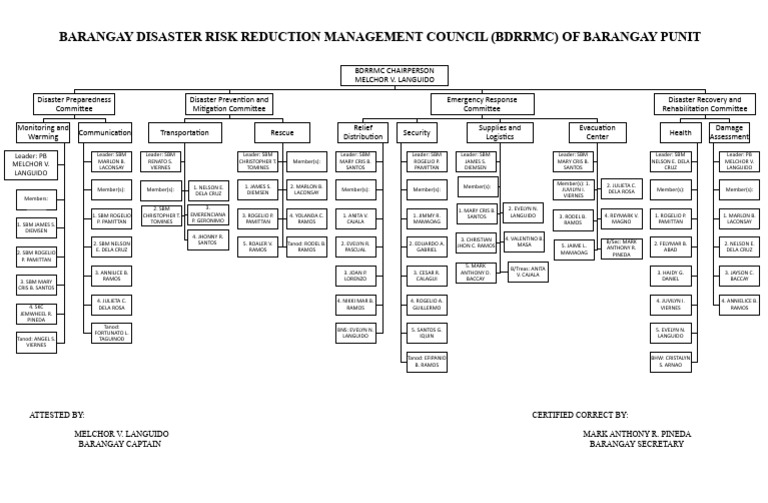 Barangay Disaster Risk Reduction Management Council | PDF | Emergency ...