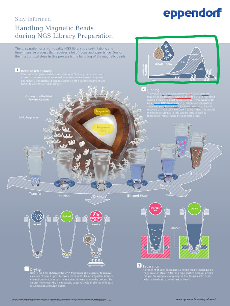 Eppendorf Stay-Informed NGS Poster | PDF | Enzyme | Scientific Techniques
