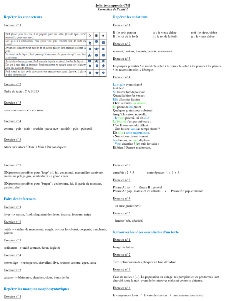Correction Unité 1 : Je Lis, Je Comprends CM1 | PDF