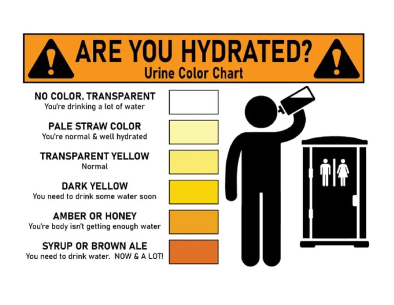 Pee Chart | PDF