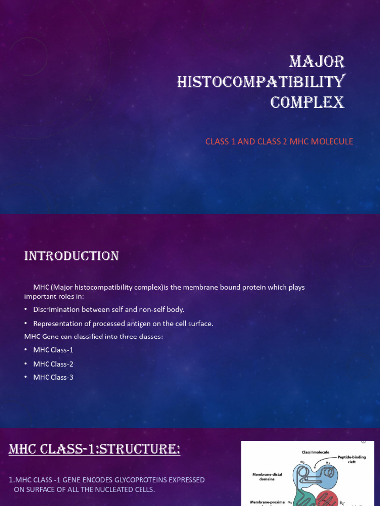 MHC Class 1 and 2 Overview | PDF