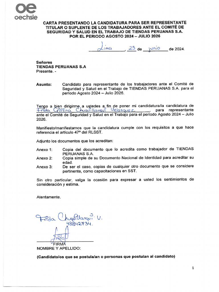Carta Presentacion de Candidatura CSST | PDF