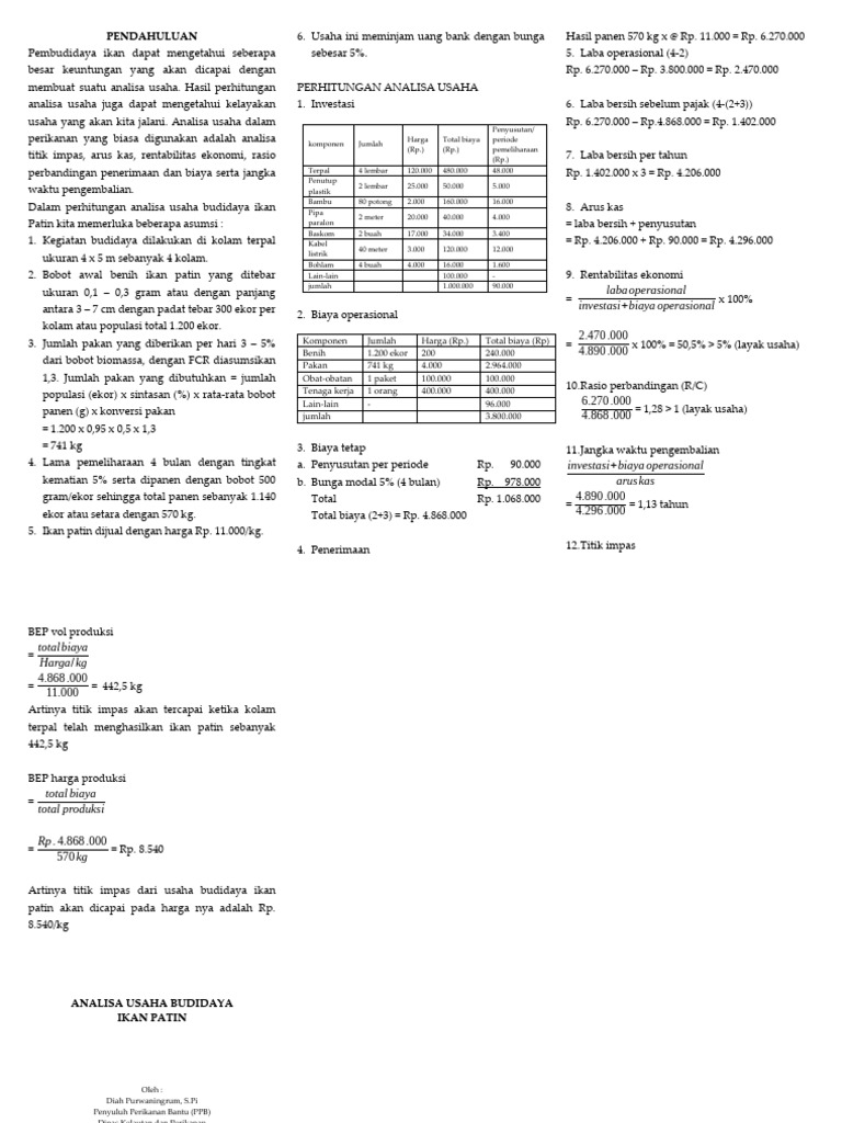 Analisa Usaha Budidaya Patin | PDF