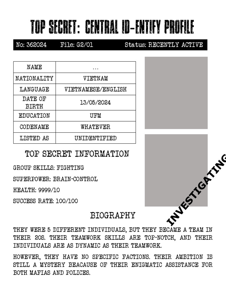 Top Secret Team Profile & Services | PDF | Brand | Strategic Management