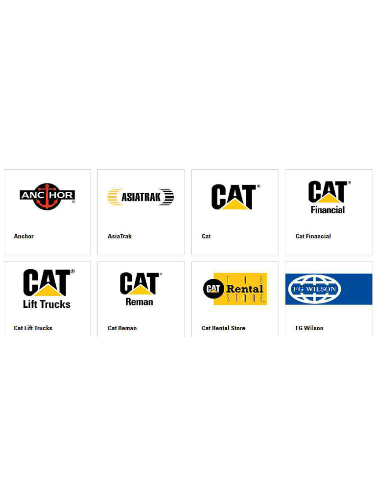 About Cat | PDF