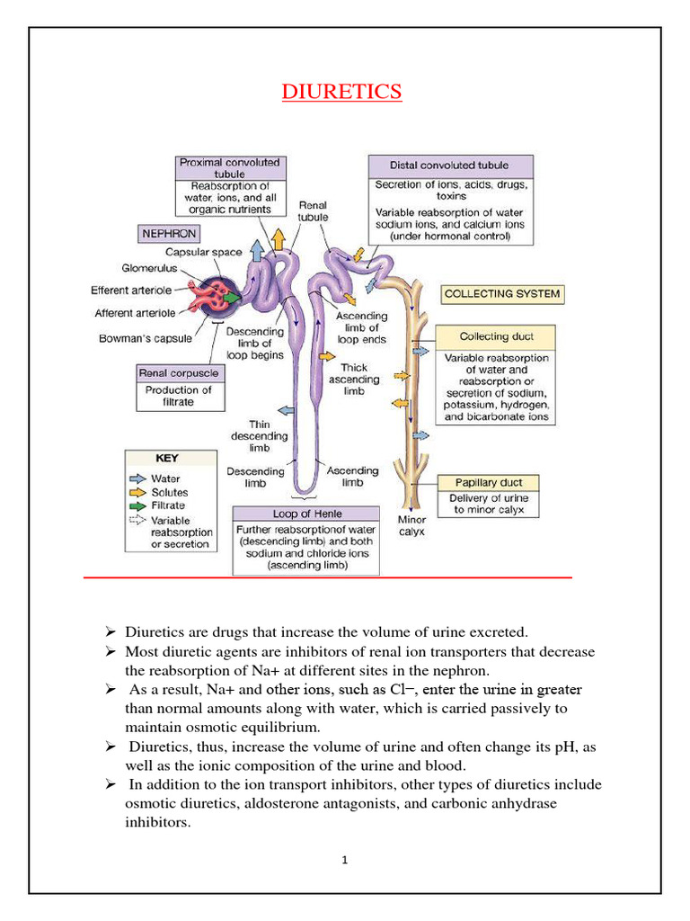 Pharmacology of Diuretics | PDF | Medical Specialties
