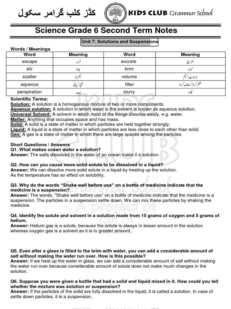 Kids Club Grammar School Science Notes | PDF | Solubility | Sound