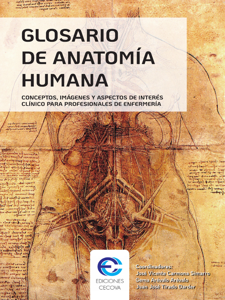 Glosario de Anatomia Humana Online | PDF | Articulación | Hombro