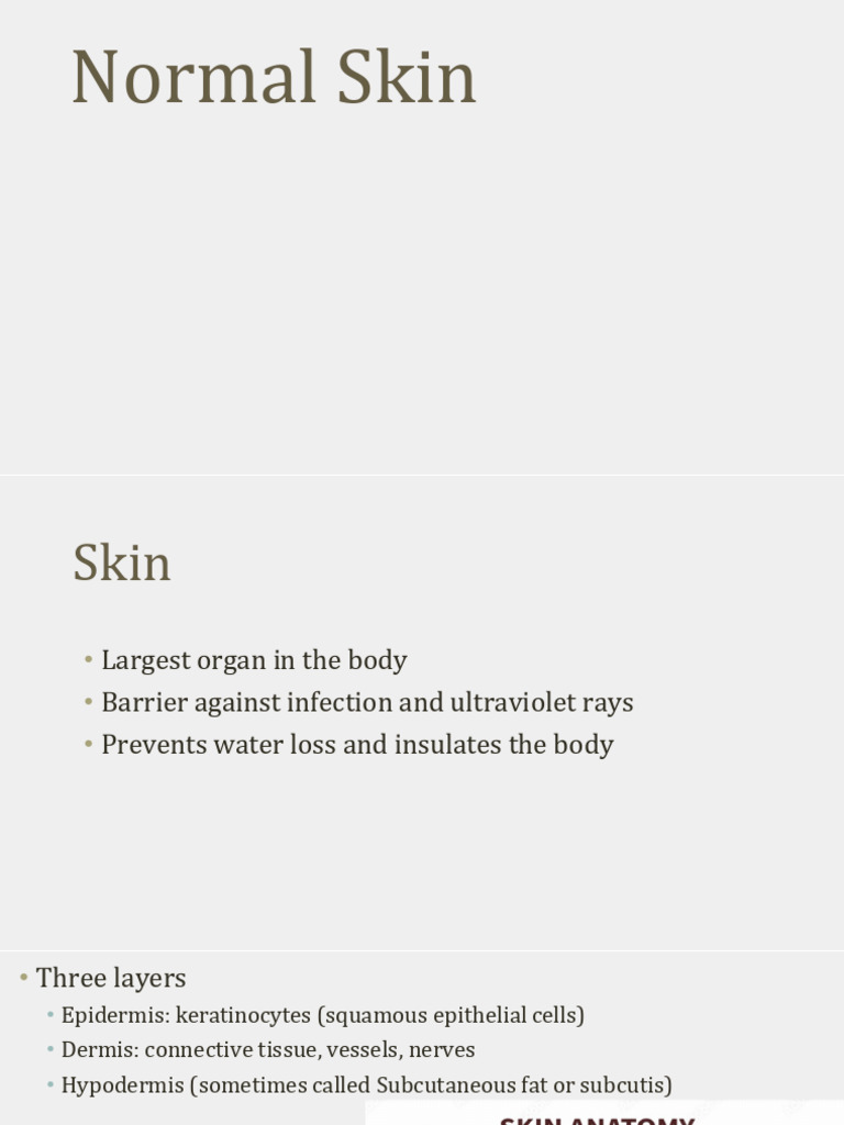 Normal Skin | PDF | Skin | Epidermis