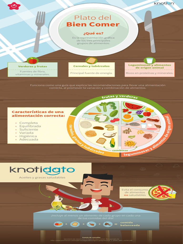 Guía de Alimentación Saludable y Balanceada | PDF | Alimentos | Cereales