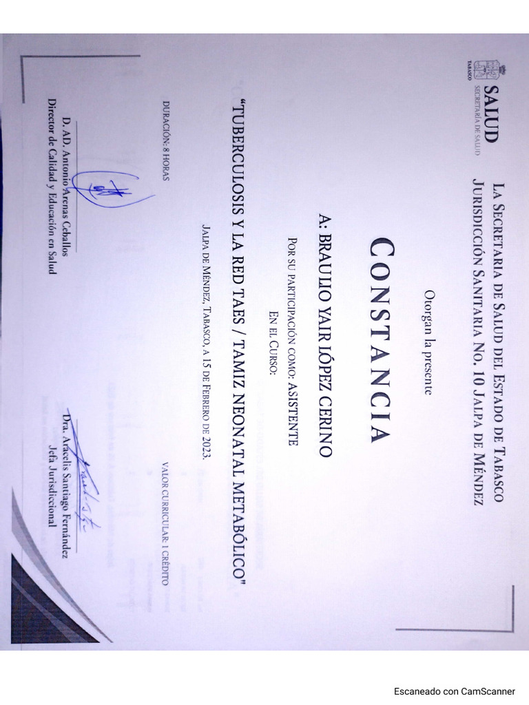 Tuberculosis y La Red Taes | PDF