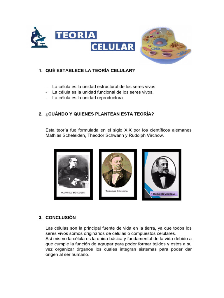 QUÉ ESTABLECE LA TEORÍA CELULAR | PDF