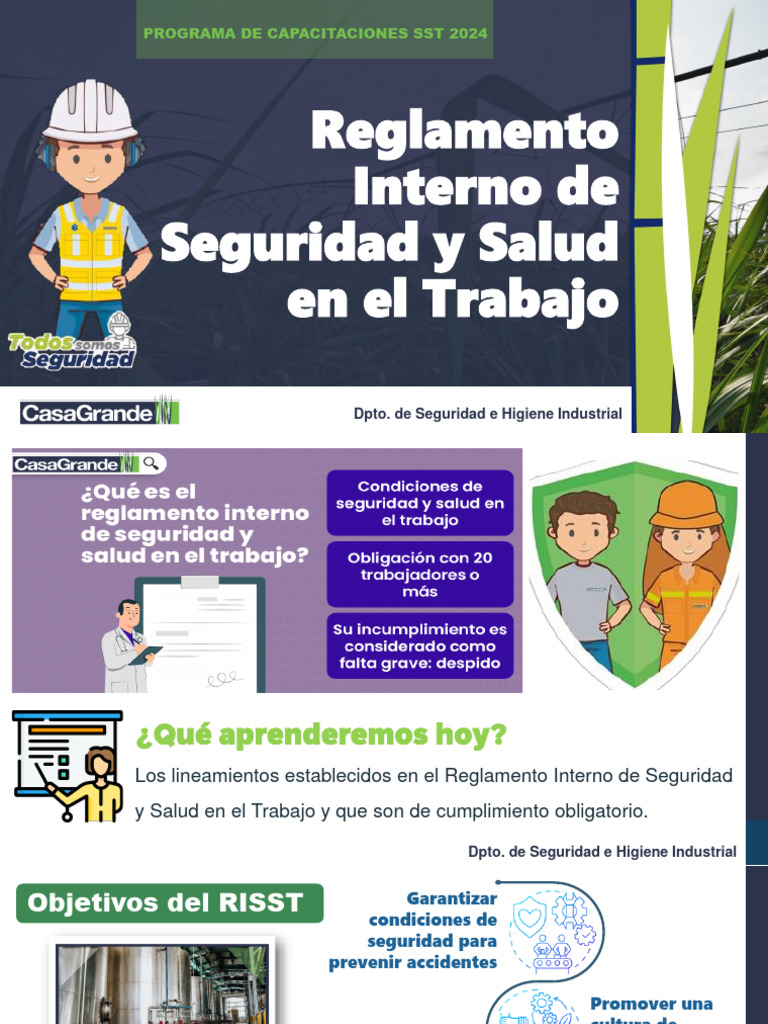 RISST | PDF | Seguridad y salud ocupacional | Valores