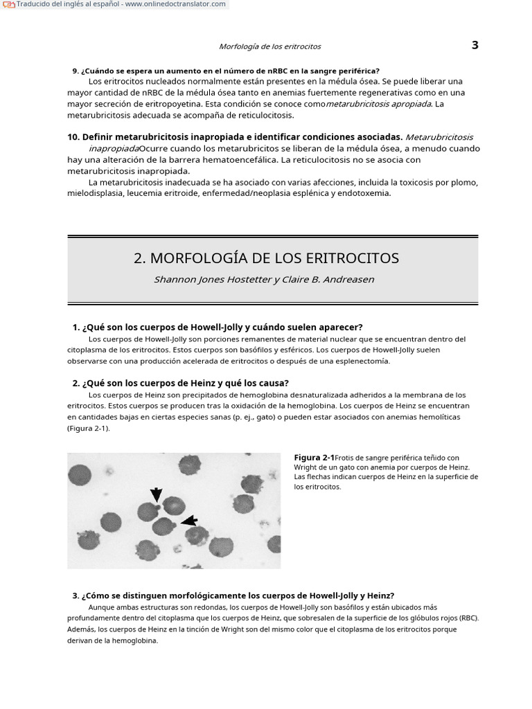 Poiquilocitos en Es | PDF | Glóbulo rojo | Anemia