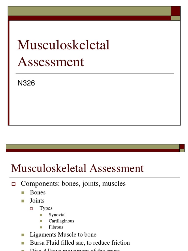 Musculoskeletal Assessment Overview | PDF | Anatomical Terms Of Motion ...