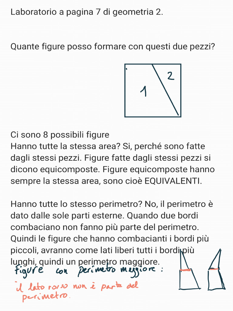 Laboratorio Aree e Perimetri | PDF