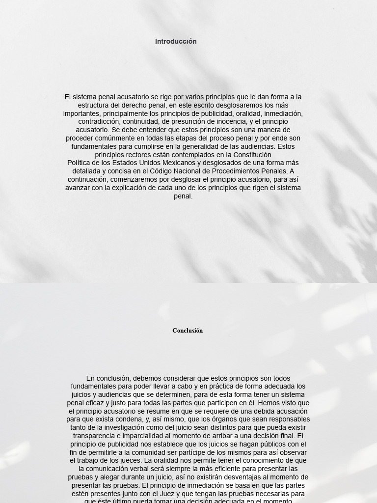Principios del Sistema Penal Acusatorio | PDF