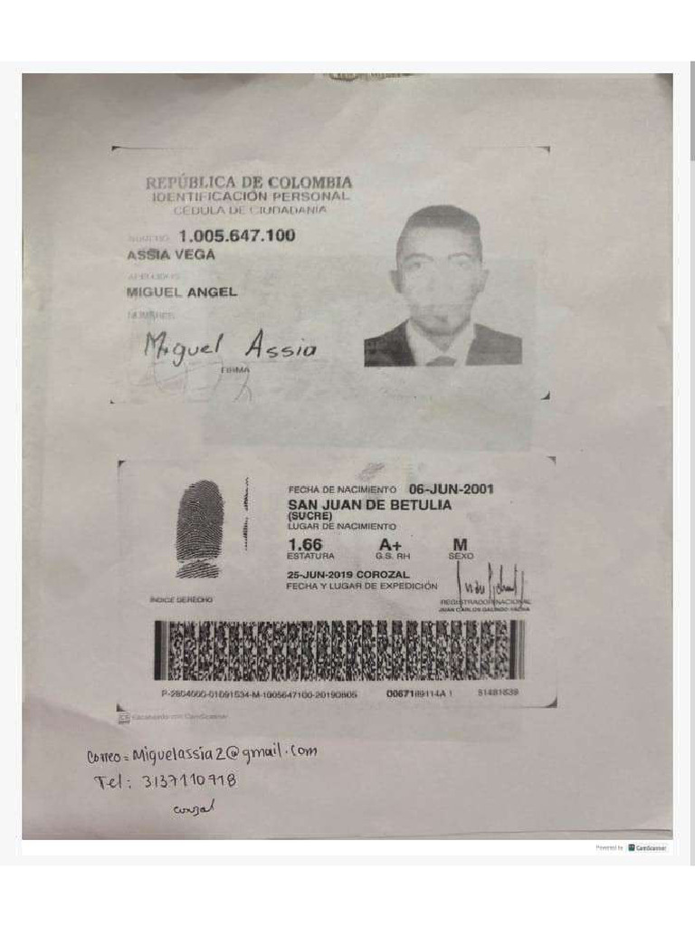 Documento Miguel | PDF