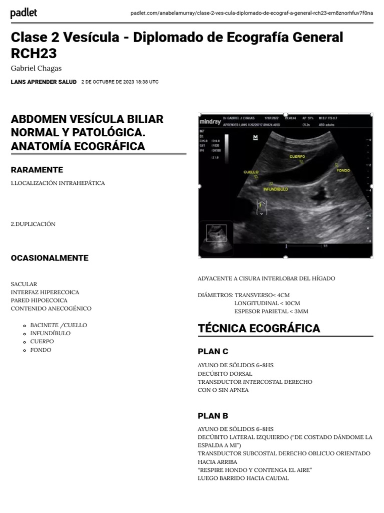 Hoja de Ruta - Módulo 2 Clase 2 Vesícula | PDF | Medicina | Gastroenterología