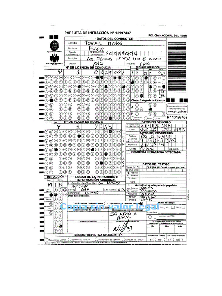 12345 | PDF