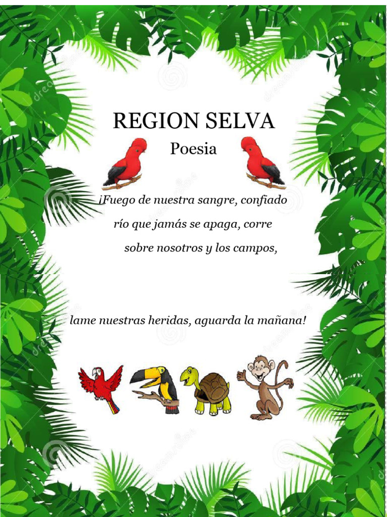 region selva PM | PDF
