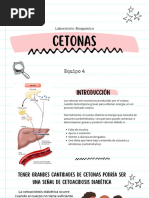 Ficha Técnica Cetolán | PDF | Proteínas | Aminoácidos