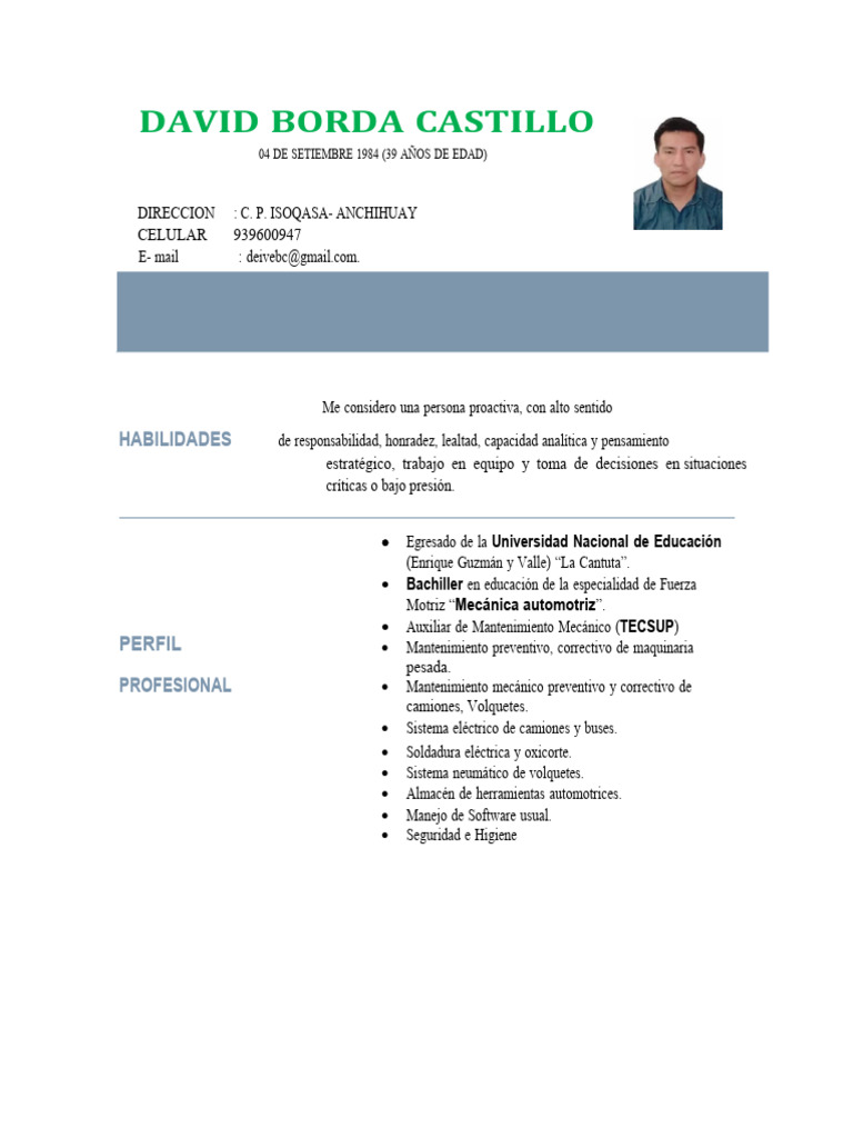 CV David Actualizada24 | PDF
