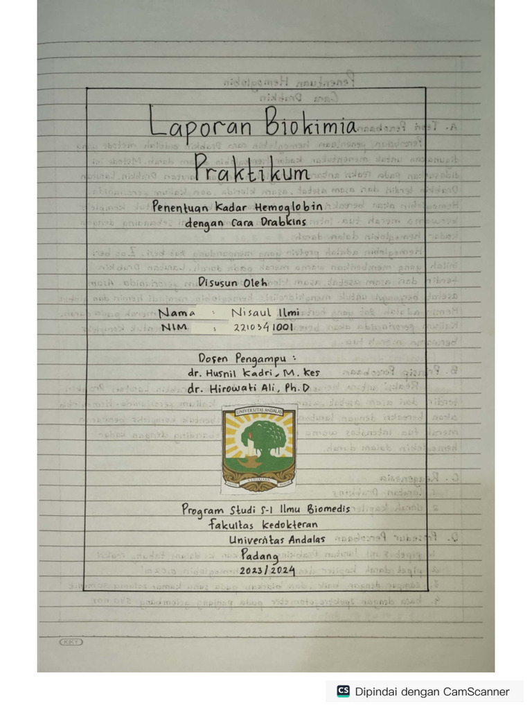 Laprak Biokimia Uul - Hb. Drabkins | PDF