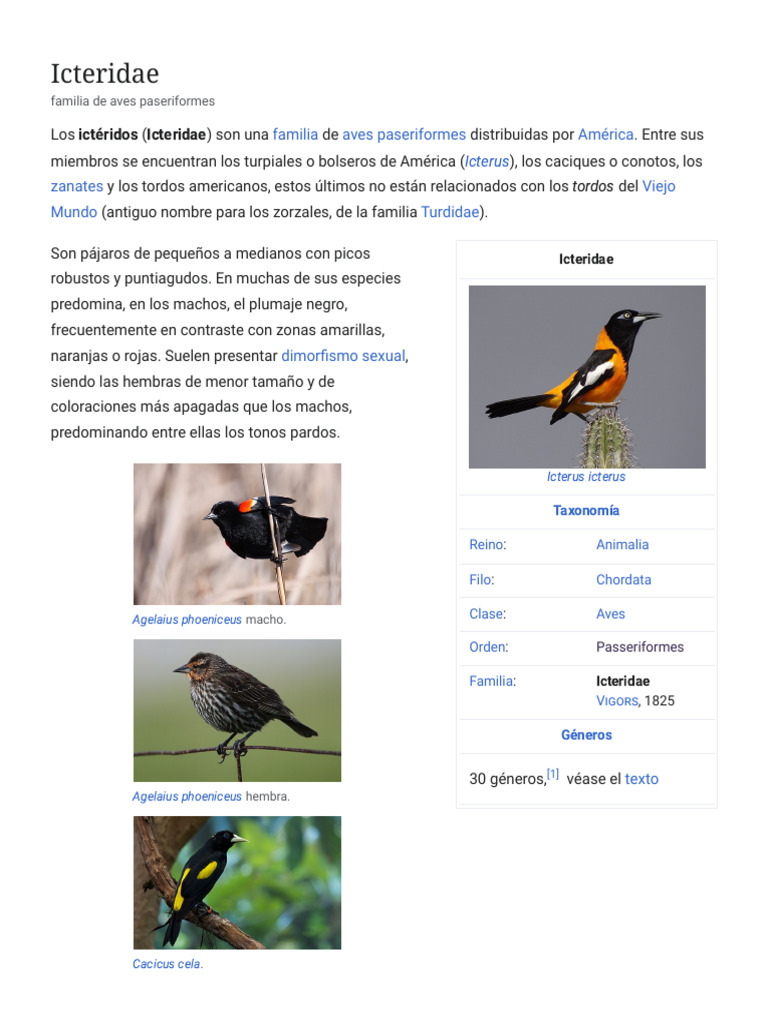 Icteridae - Wikipedia, la enciclopedia libre | PDF | Aves | Ornitología
