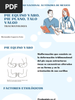 Pie Talo, Pie Varo, Valgo, y Pie Plano | PDF | Pie | Tobillo