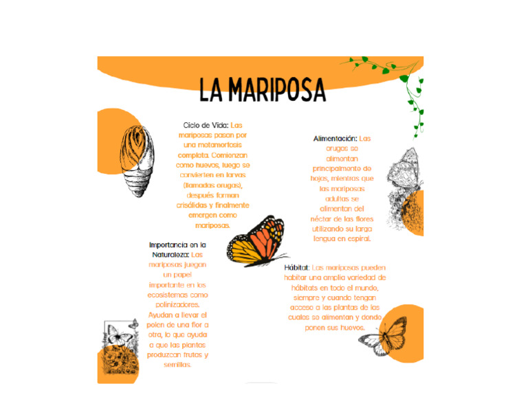 Ficha Mariposas. | PDF