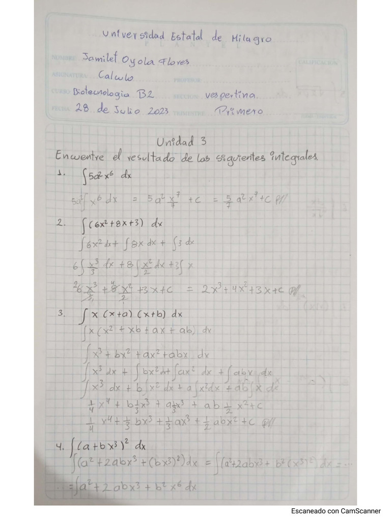 CALCULO Integrales | PDF