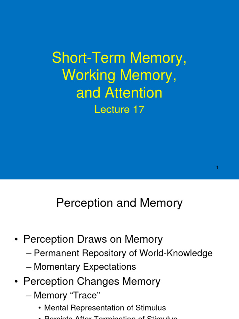 Short-Term Memory, Working Memory, and Attention | PDF | Memory | Long Term Memory