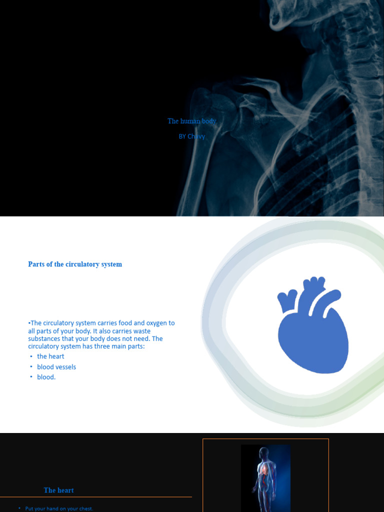 Y6 U1 Updated | PDF | Heart | Blood