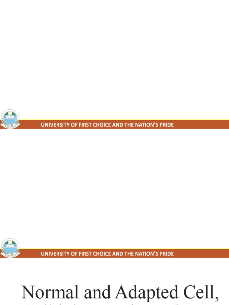 1 Normal and Adapted Cells Etc | PDF | Nonsteroidal Anti Inflammatory ...