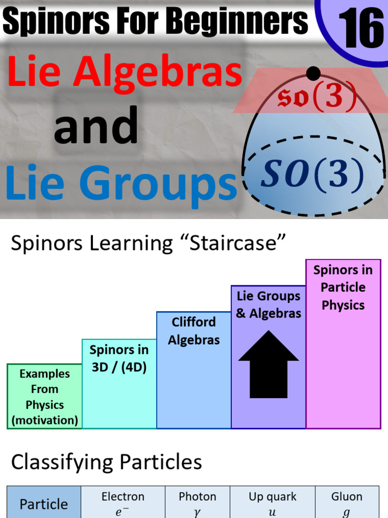 SfB16 Lie Groups and Algebras | PDF | Elementary Particle | Vector Space