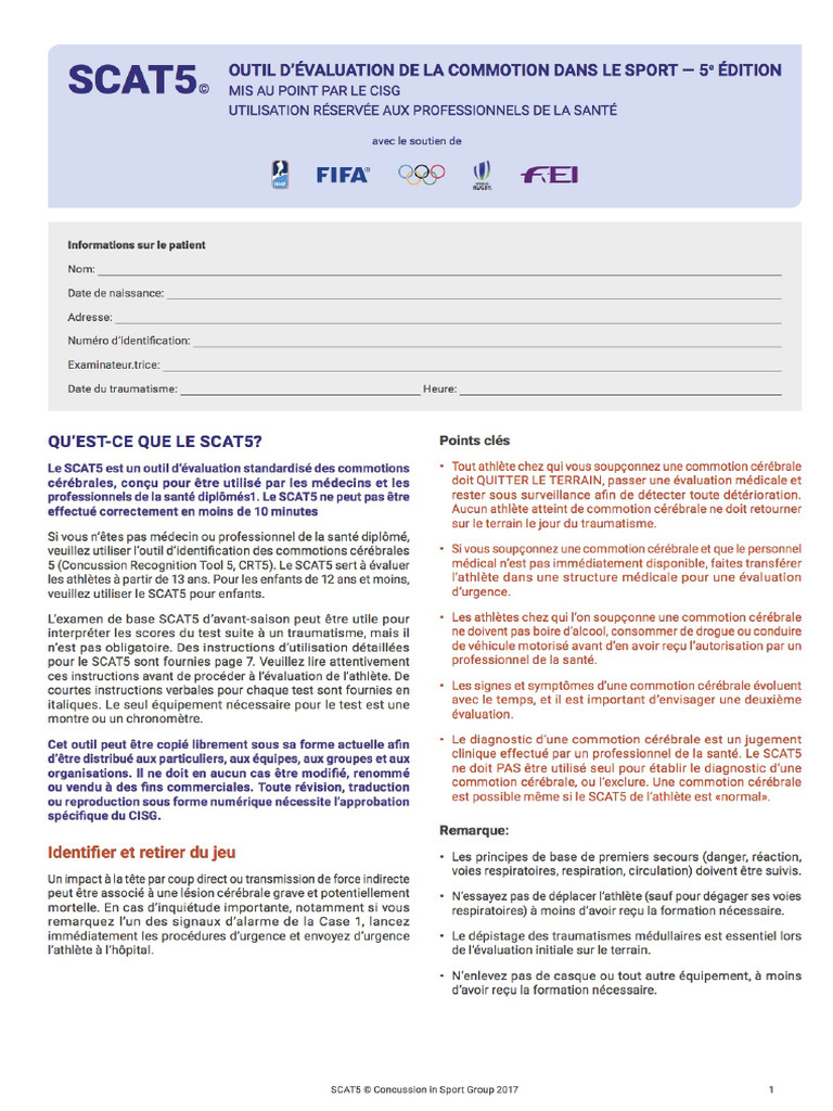 Annexe 5 Questionnaire Scat 5 | PDF