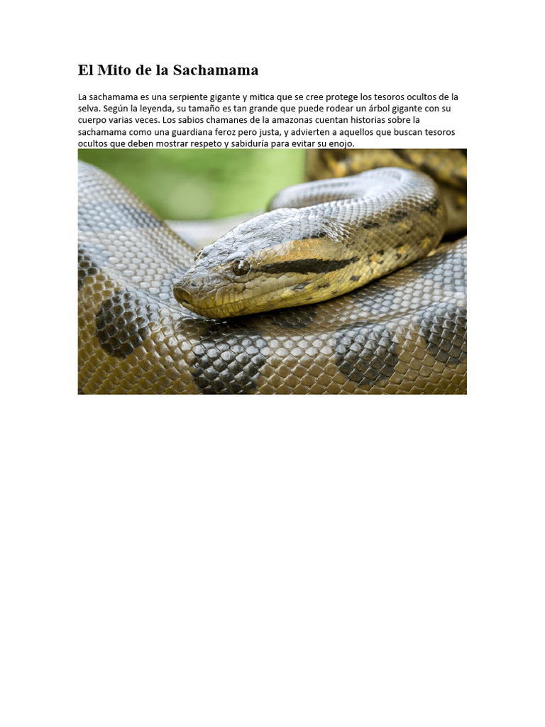 Leyenda de la Sachamama Amazónica | PDF