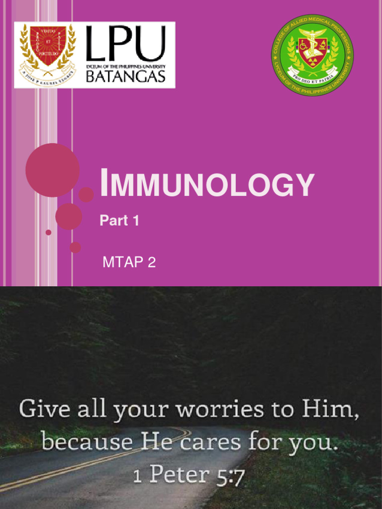 Mmunology: Mtap 2 | PDF | Antibody | Immunoglobulin G