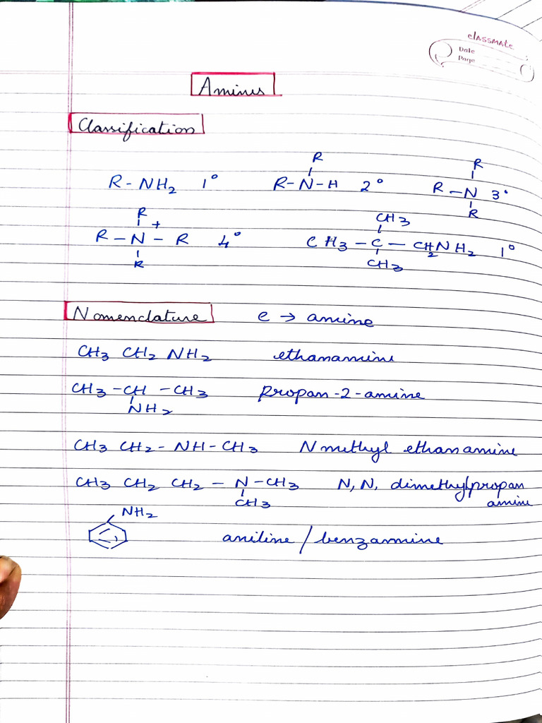 Class 12 Chapter 8 Chemistry Important Notes (Amines) | PDF