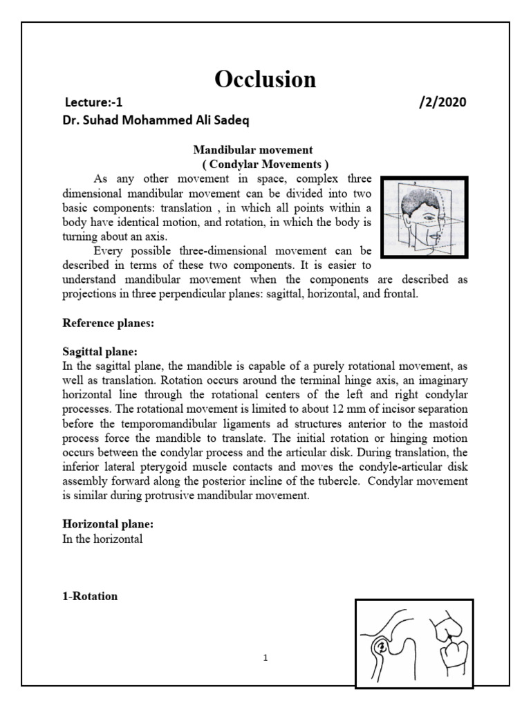 Occlusion: Lecture:-1 /2/2020 Dr. Suhad Mohammed Ali Sadeq | PDF ...