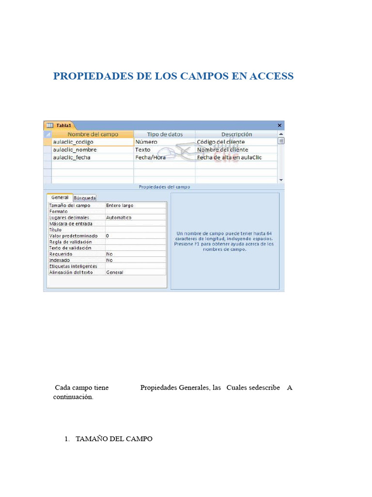 Propiedades de Los Campos en Access | PDF | Informática | Ciencias de la Computación